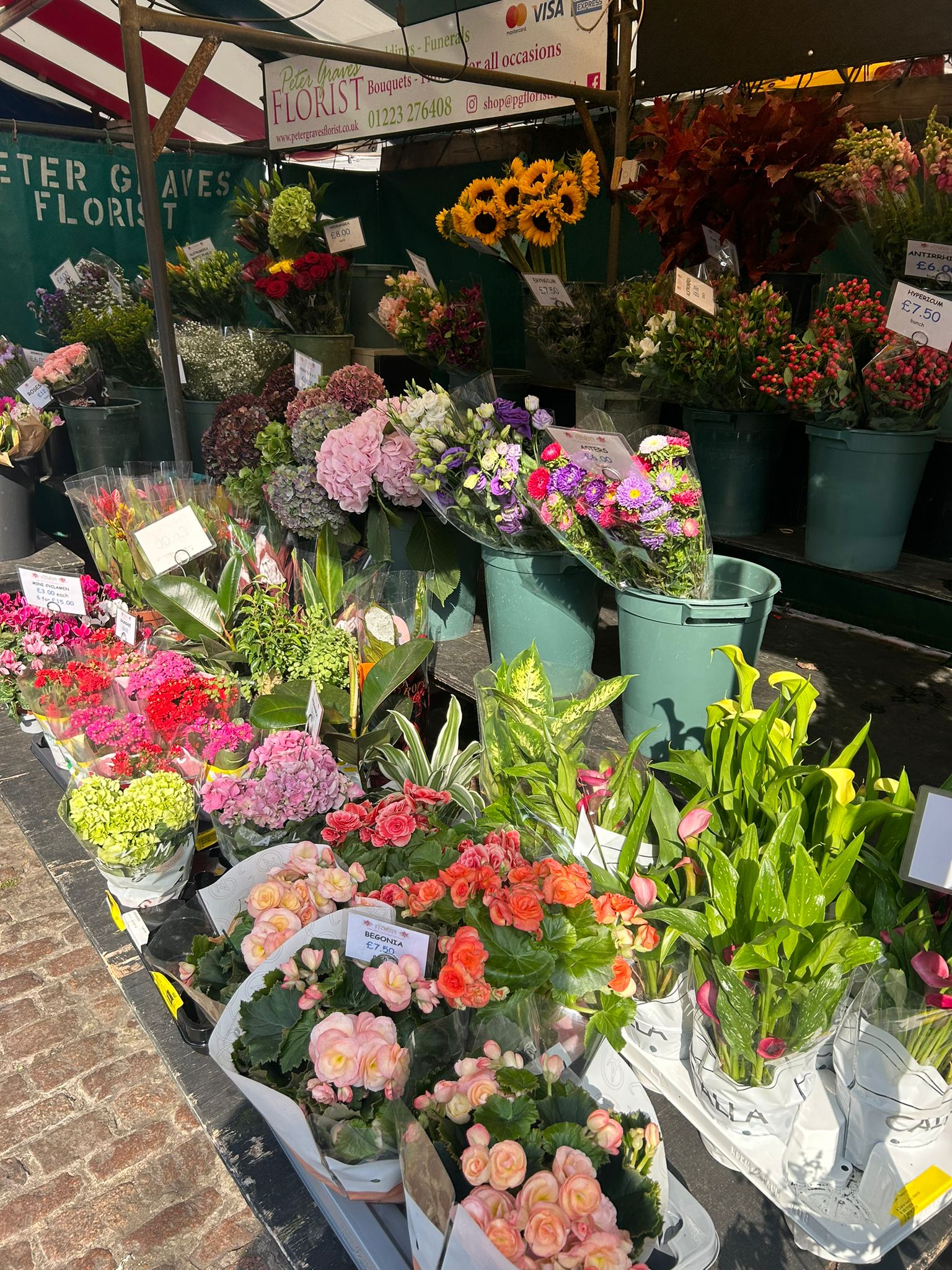 Suffolk – Días 8 y 9 – Descubriendo Cambridge! | Blog Vigo en Inglés